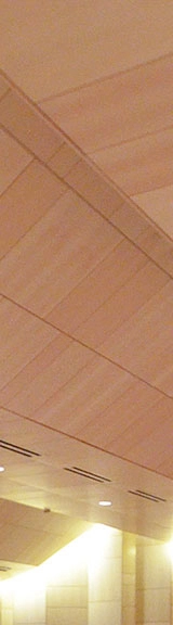 Gallery Of Ceiling And Wall Cladding Grille 6