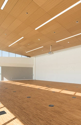 Gallery of Retractable Walls - Stepped & Sloped Spaces - 5