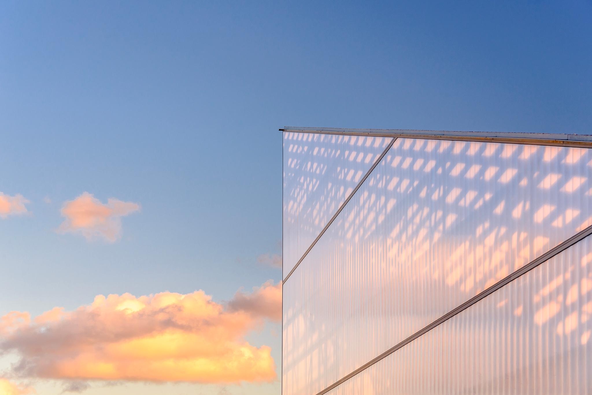 Translucent Building Elements in Dangrove Art Space from Rodeca