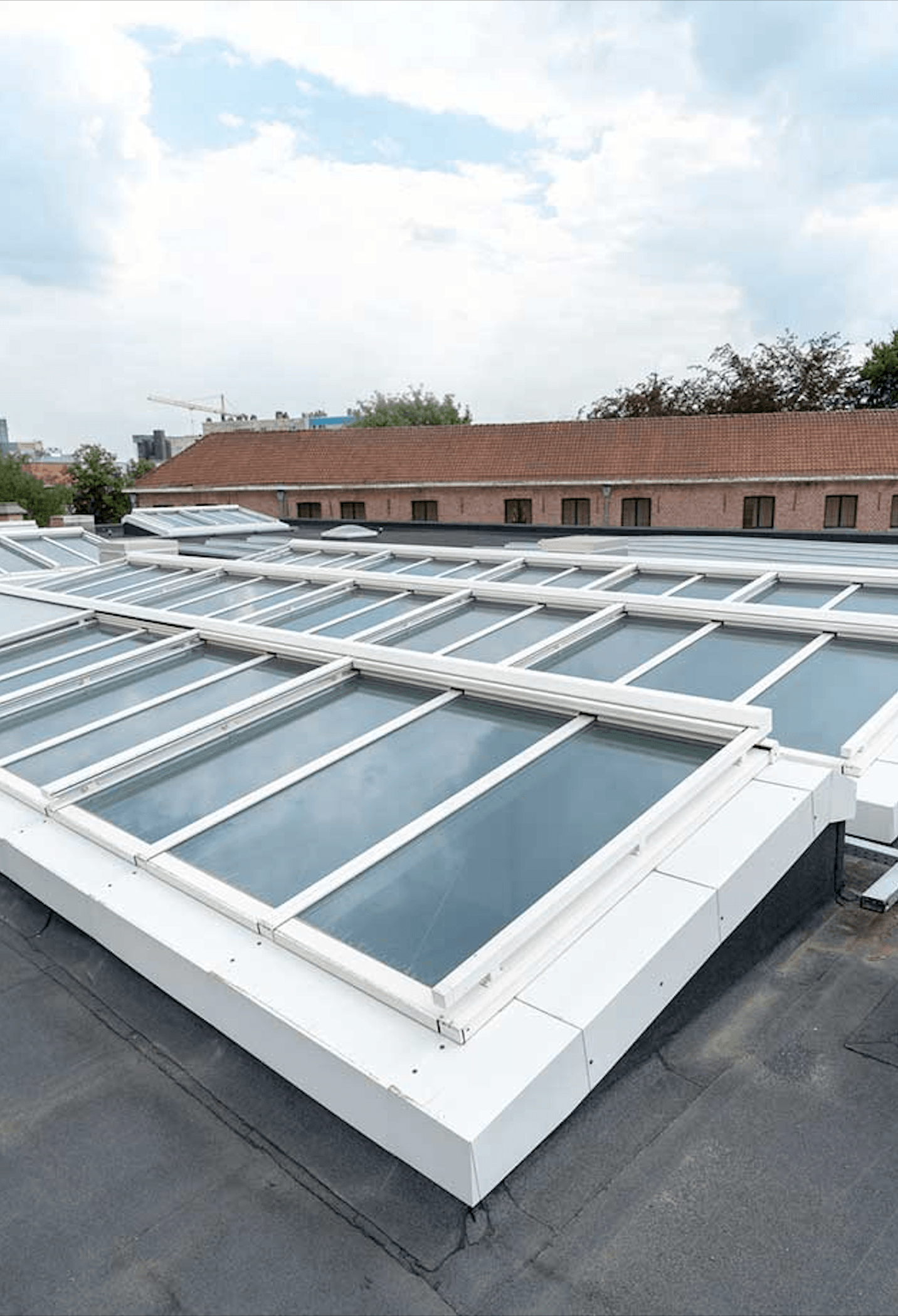 Modular Skylights in Utopia Library from VELUX Commercial