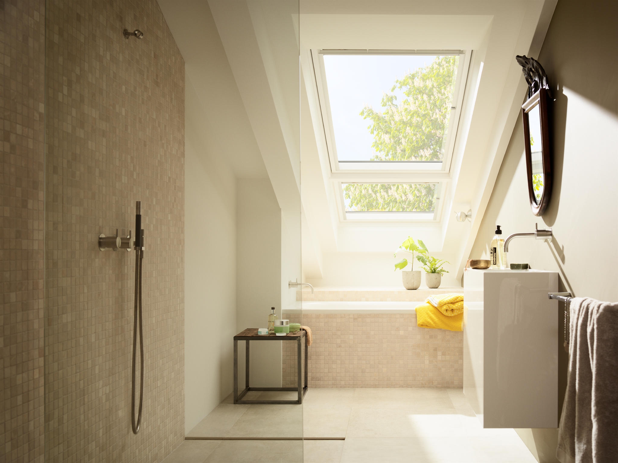 Sloping Extension Window Element - GIU from VELUX Group