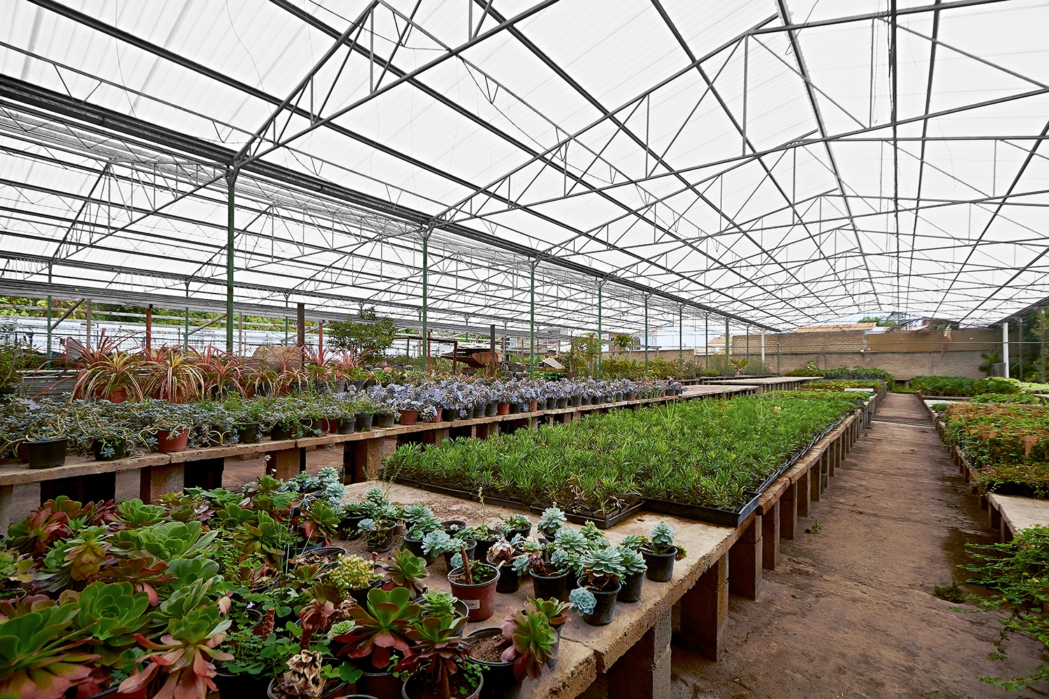 Detalles técnicos para plafones de Panel Rey