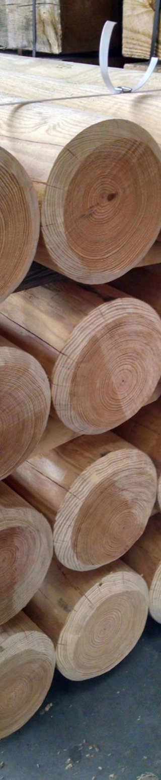 Gallery of Free Form Timber Structures for Venlo Casino - 1