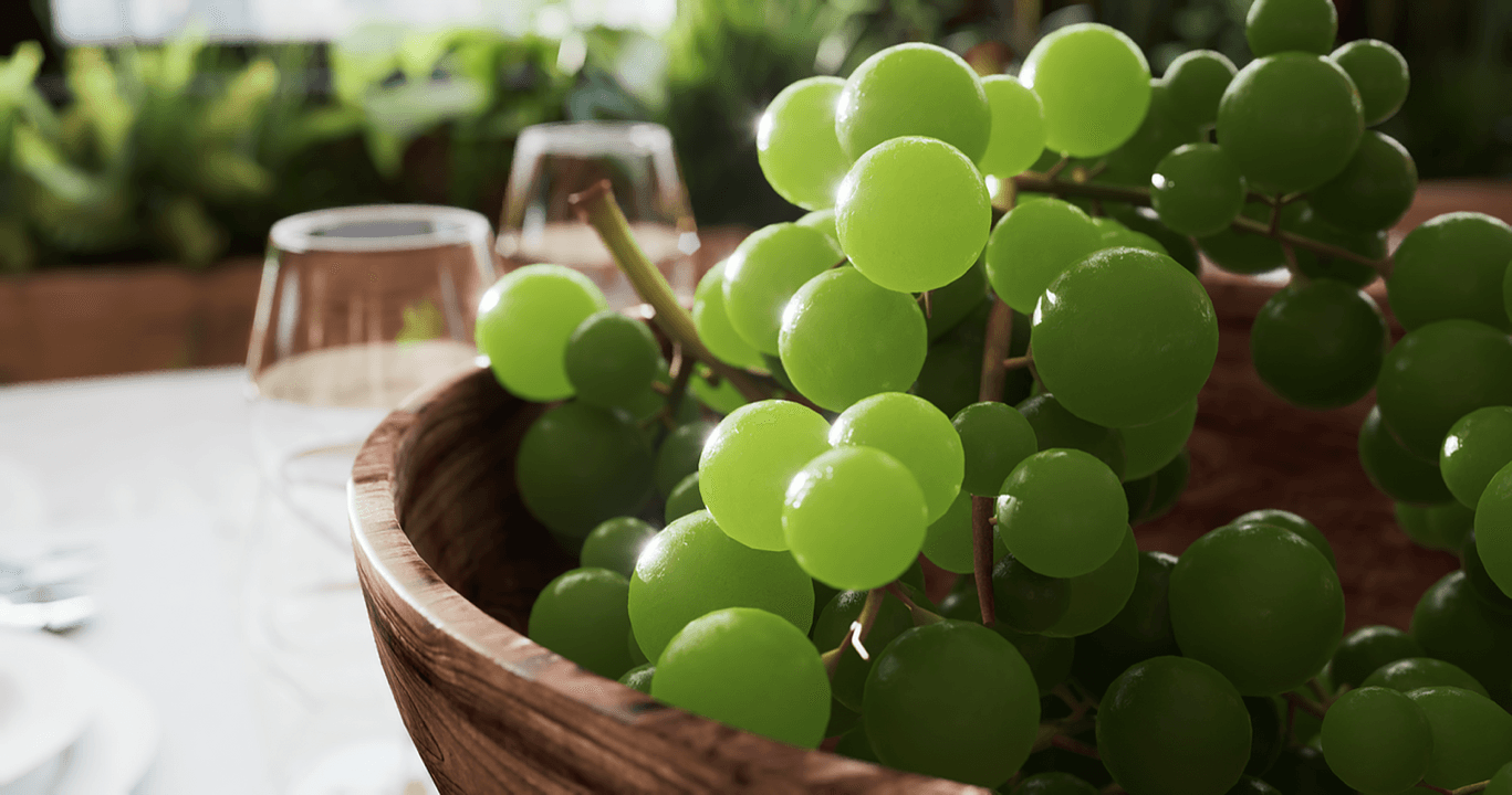 Asset Library for Digital Renders from D5 Render