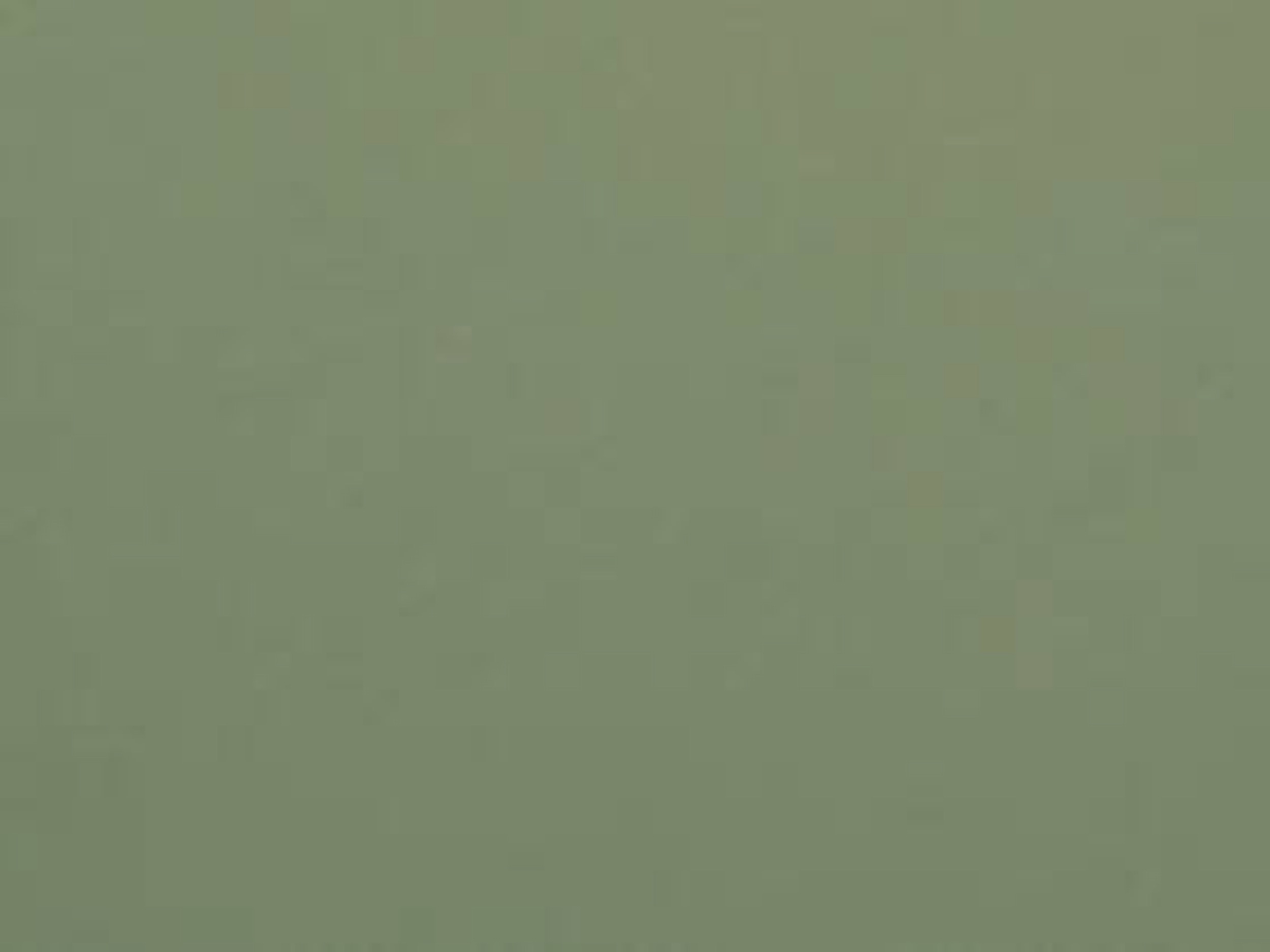 Fiber Cement Boards - Zenor from Swisspearl