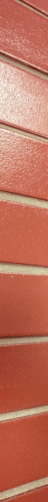 Galeria de Pintura Acrílica Effex Piedra Cantera - 1