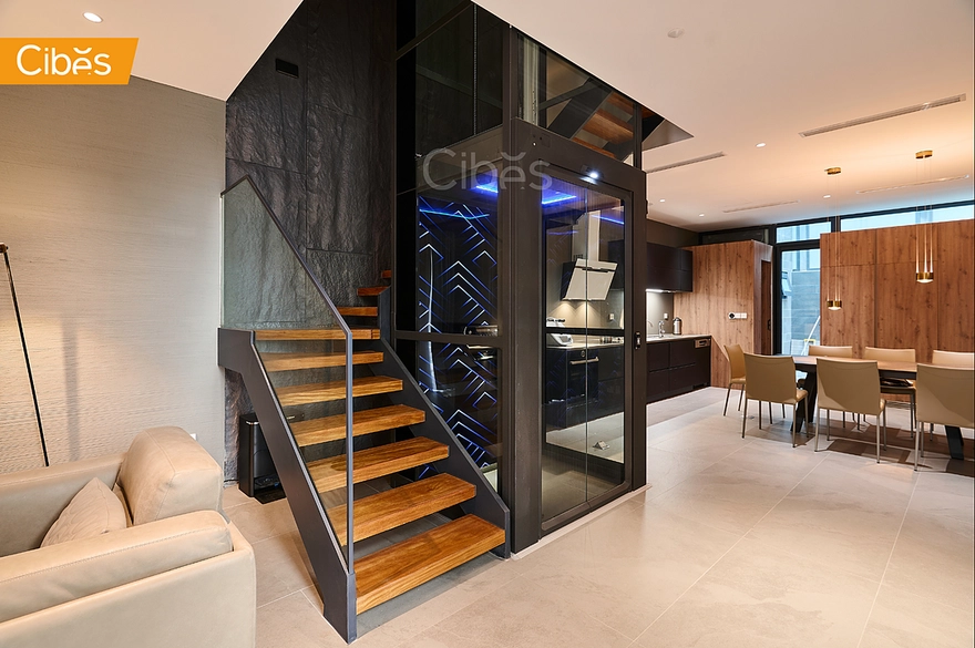 Glass Cabin Lift In Modern Style Home from Cibes Lift Asia