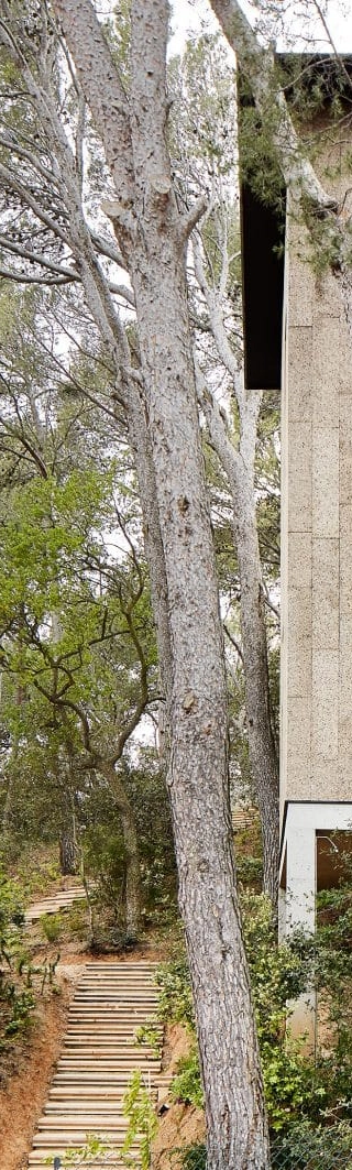 Gallery of Cross Laminated Timber in School Project - 3