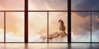 Anti-Reflective Glass - Pilkington OptiView™ Ultra from Pilkington