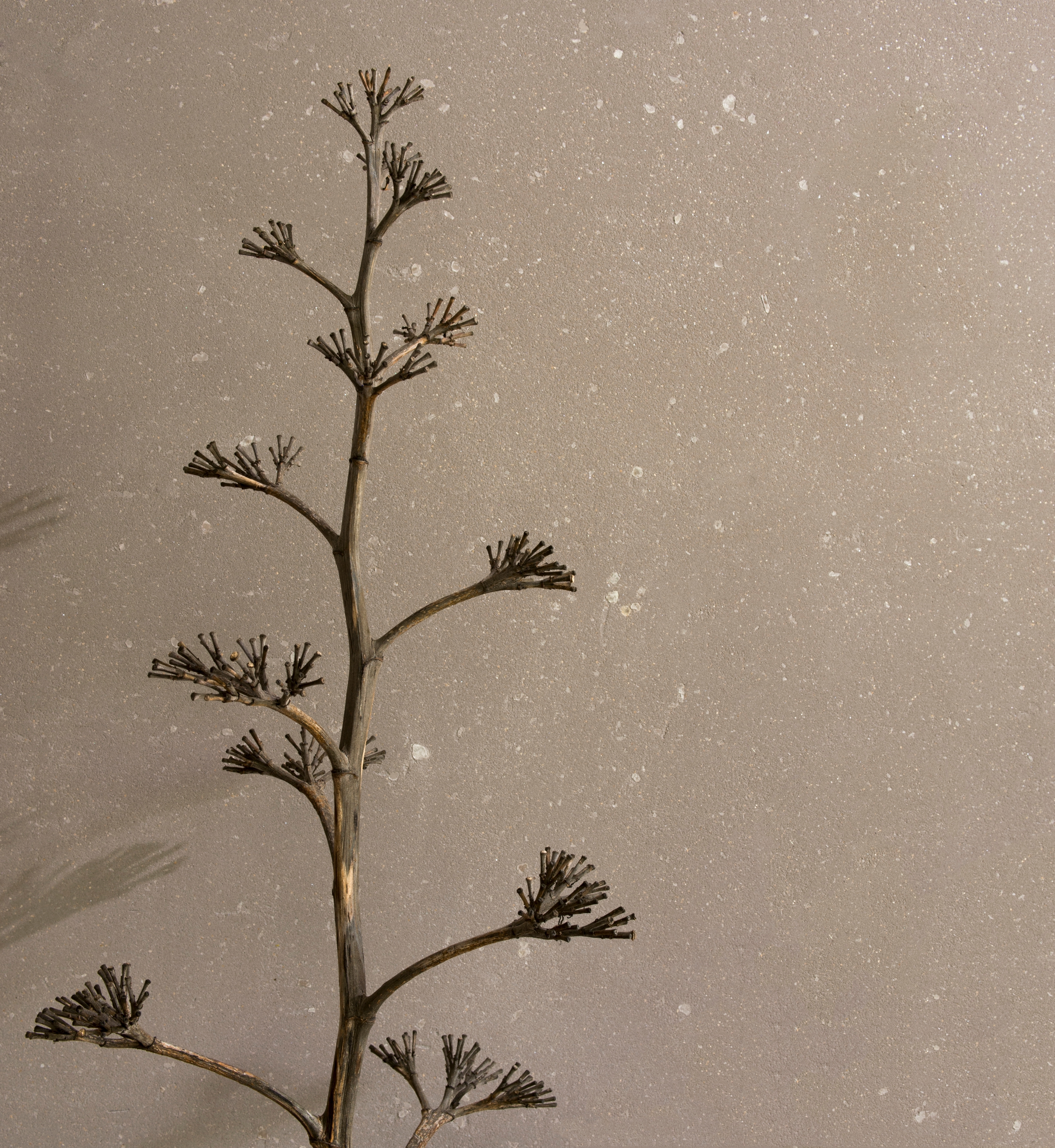 Pinturas Acrílicas Effex Piedra de Comex